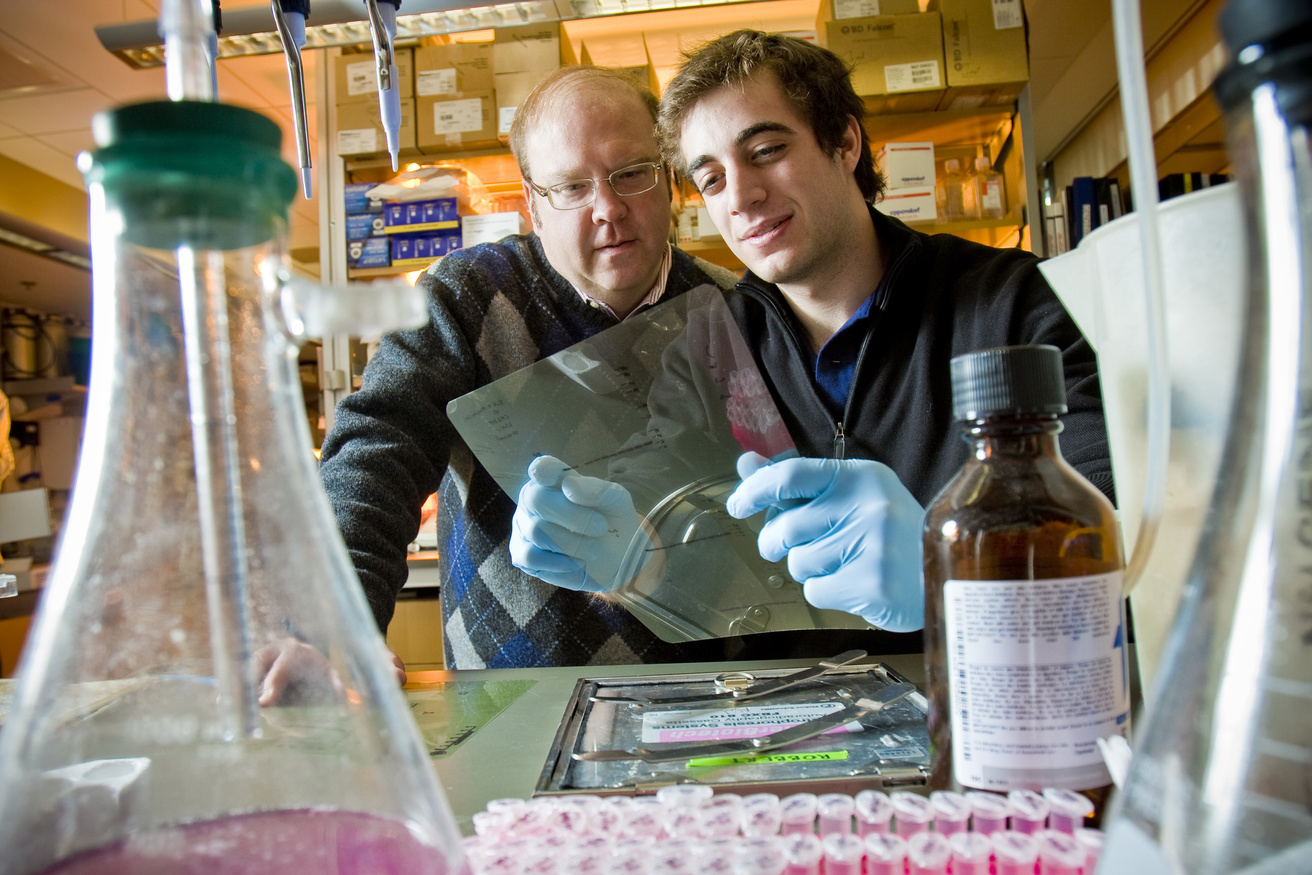 Ted Abel Lab | The University of Iowa